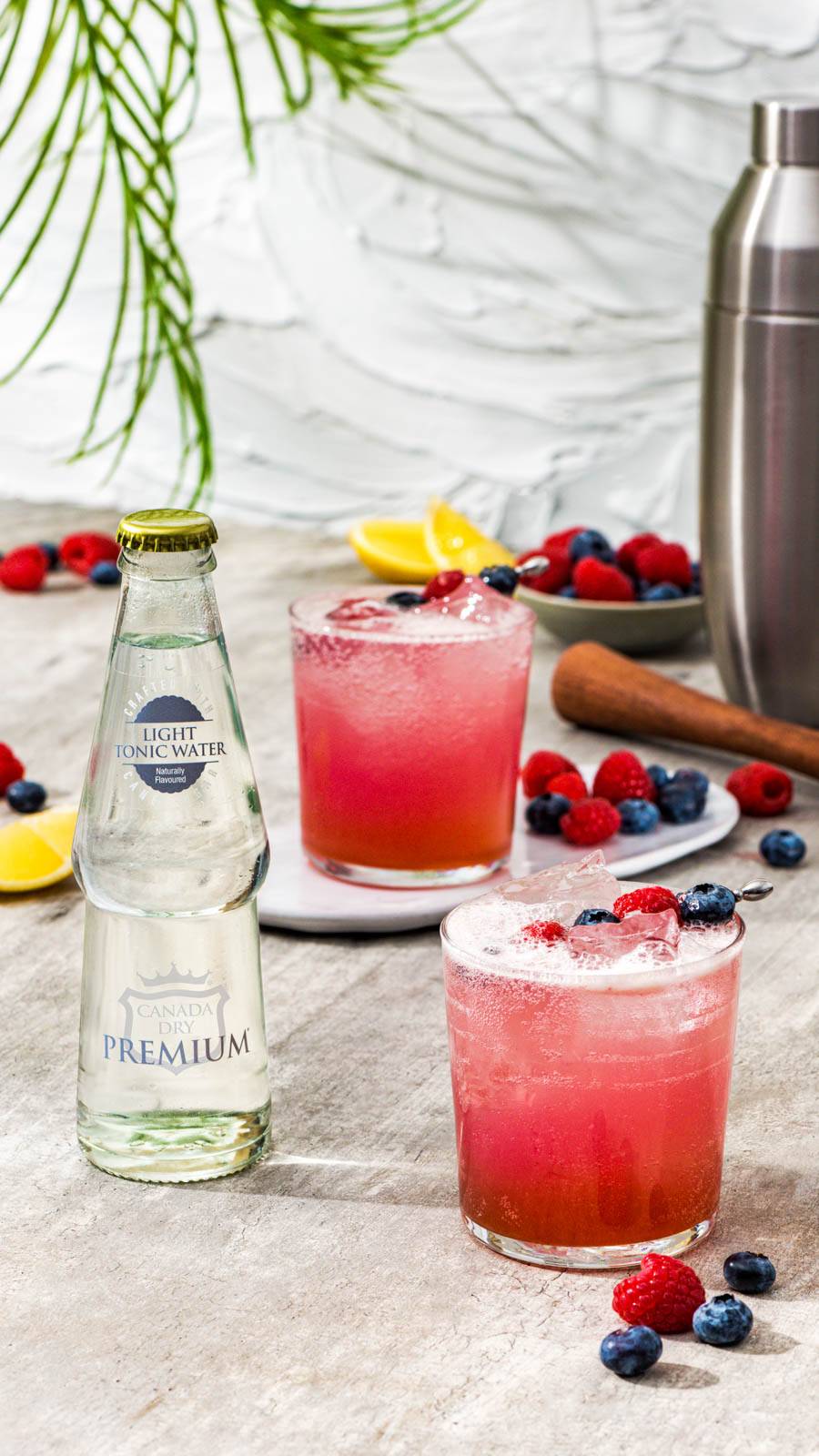 Sparkling Berry Sinner - Canada Dry