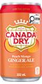 Ginger Ale | Canada Dry Products